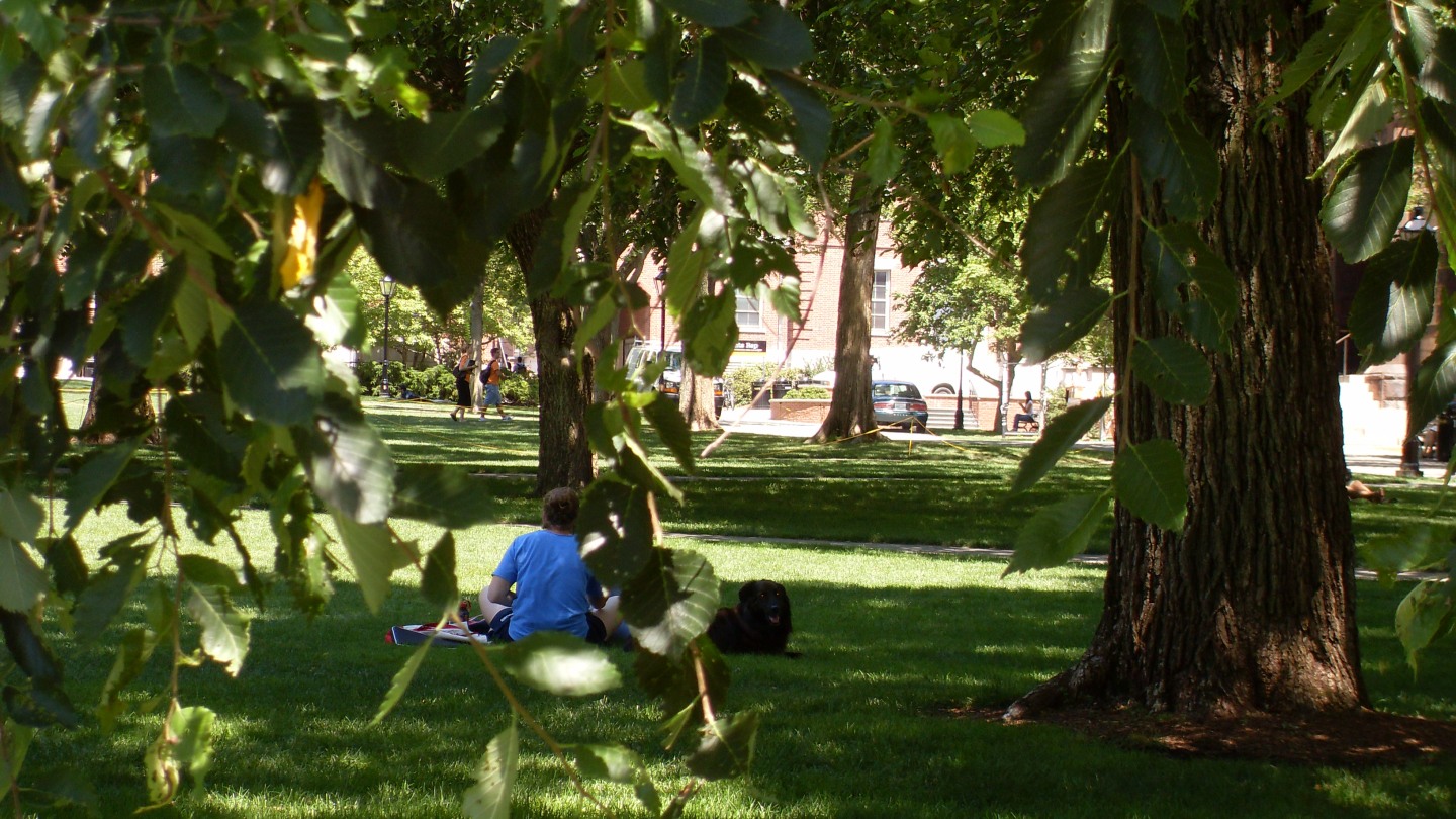 Graduate Program | Applied Mathematics