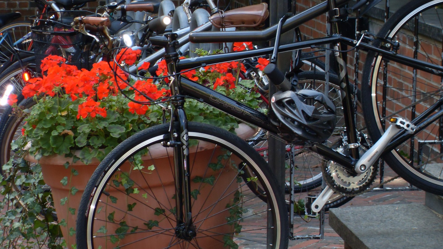 Undergraduate Program | Applied Mathematics